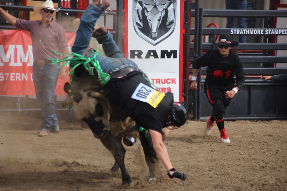 Strathmore’s Rodeo School testing the mettle of competitors ...