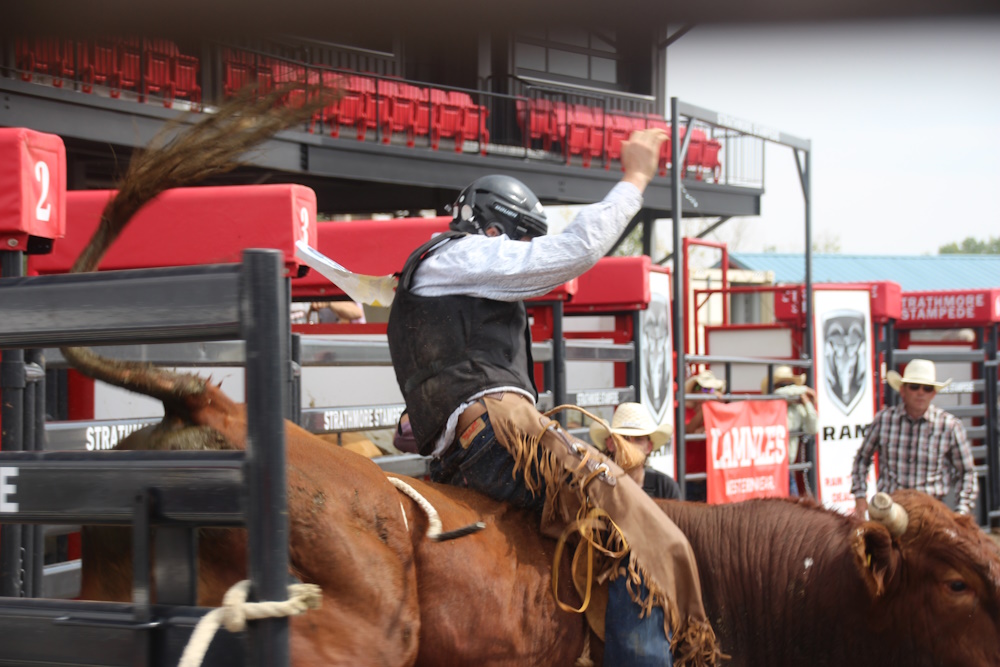 Strathmore’s Rodeo School testing the mettle of competitors ...