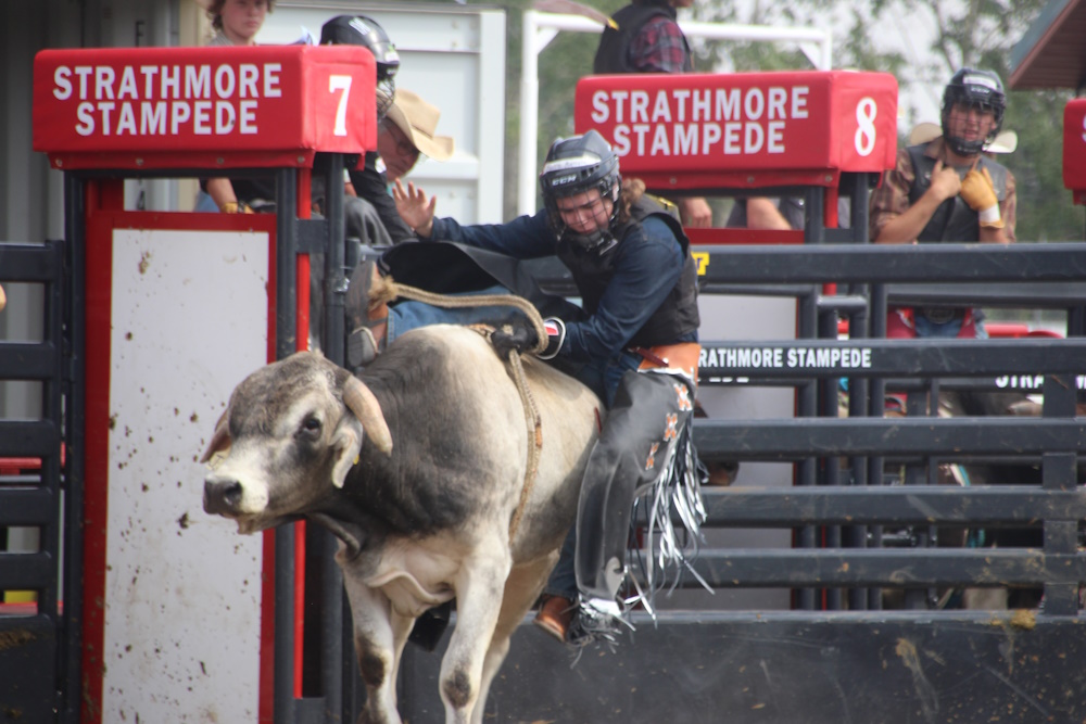 Strathmore’s Rodeo School testing the mettle of competitors ...