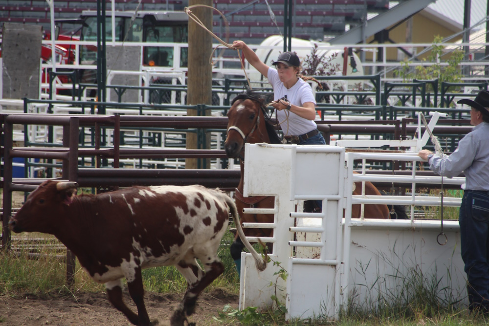 Strathmore’s Rodeo School testing the mettle of competitors ...