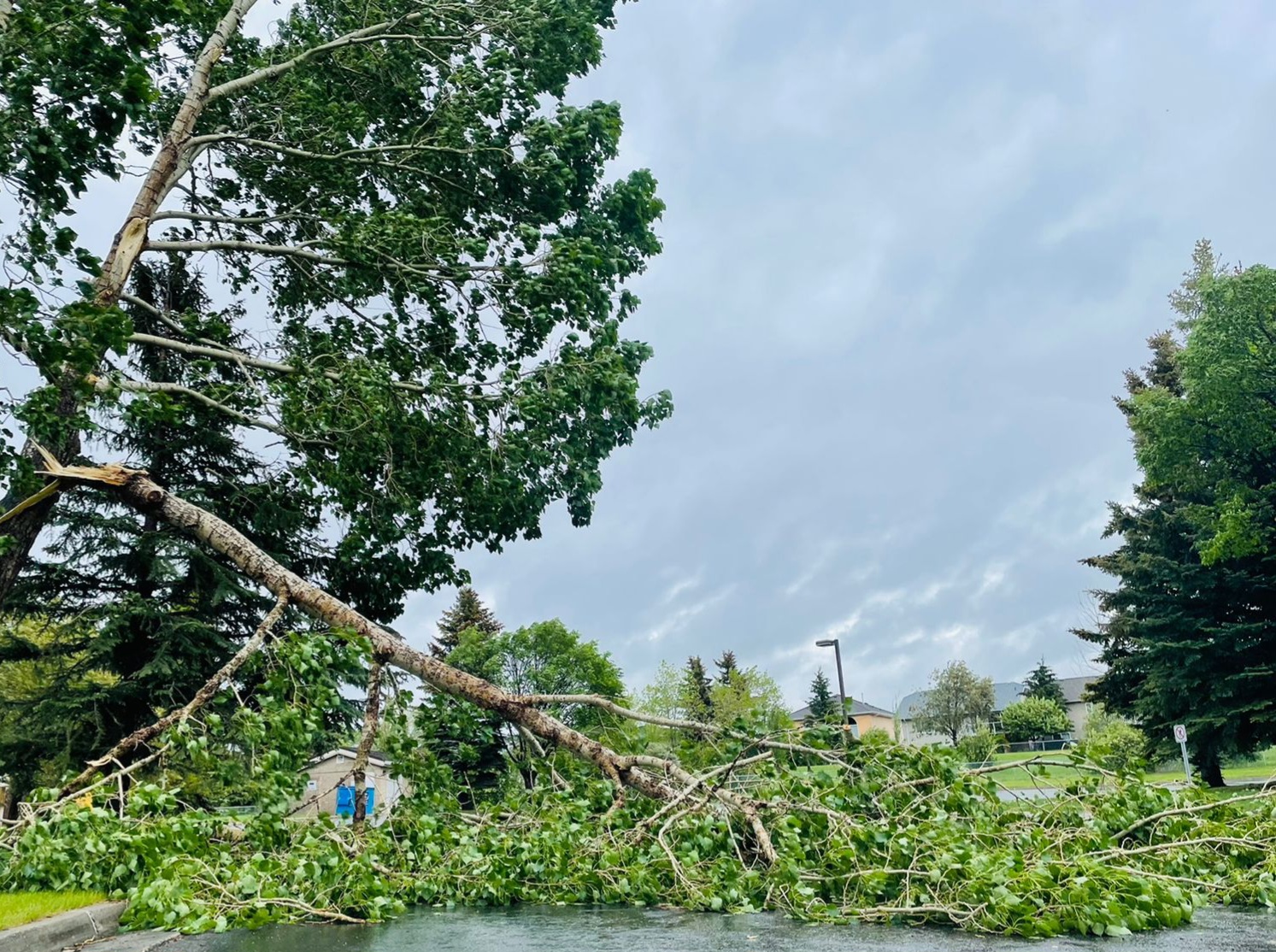 Significant weather shift expected tonight in Airdrie - DiscoverAirdrie ...