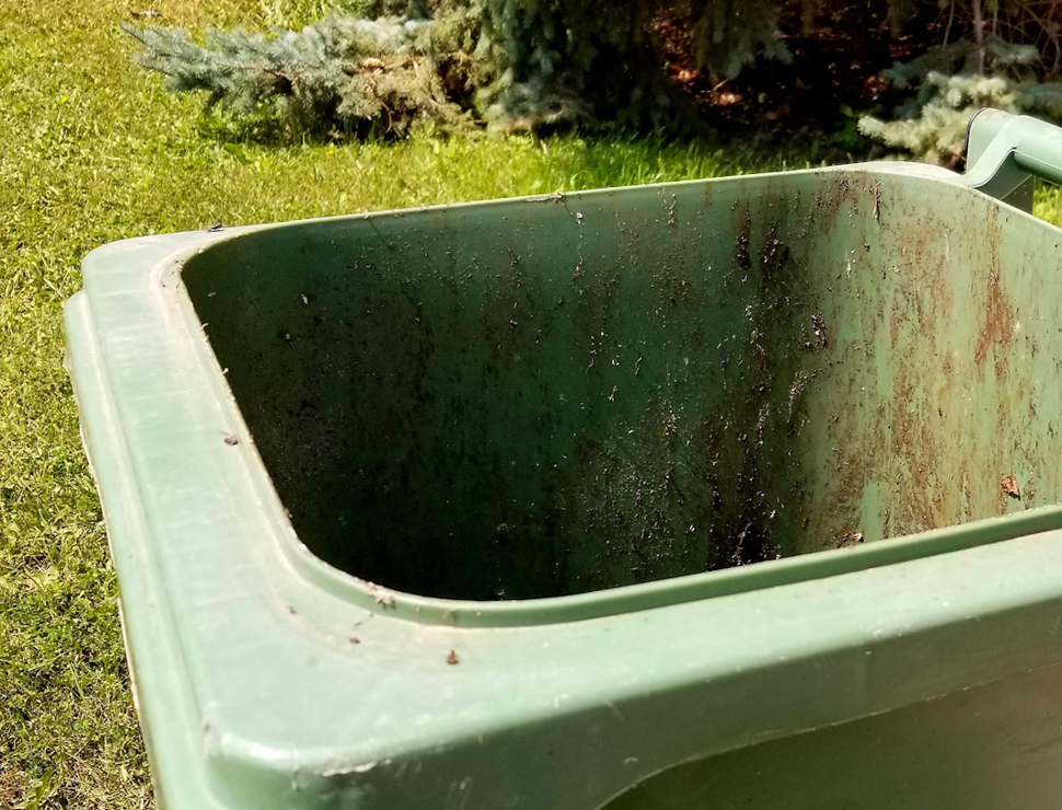 Changes to Red Deer's Green Cart collection start Nov. 11 ...