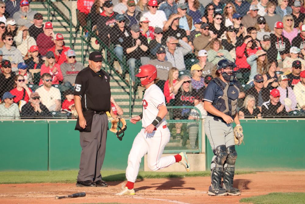 Dawgs force game three with win over Gulls - HighRiverOnline.com ...