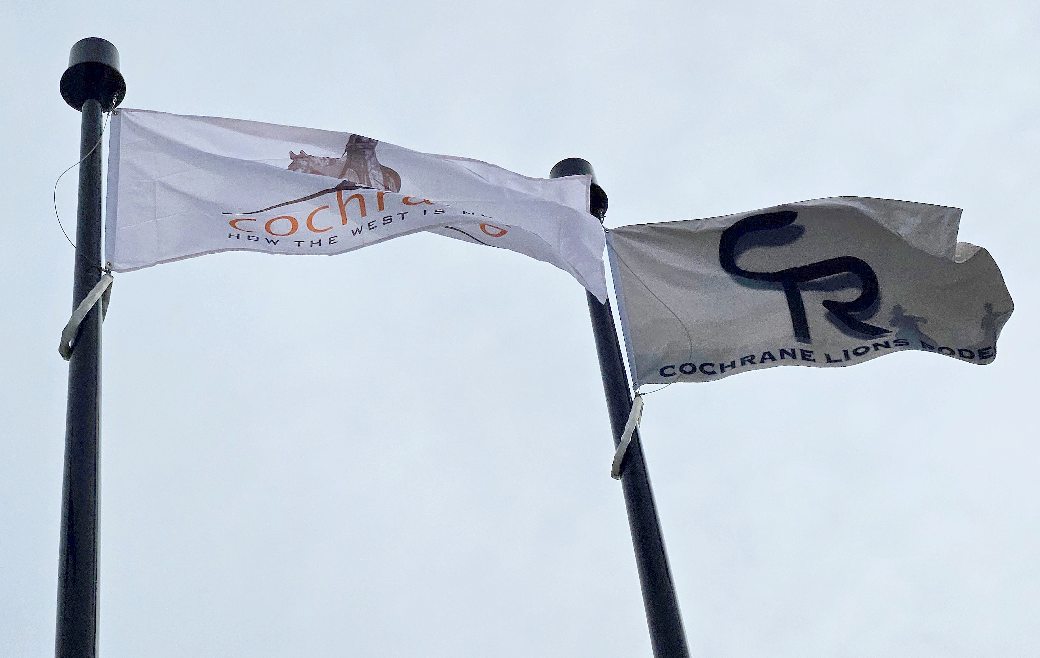 Cochrane Lions Rodeo flag raised - CochraneNow: Cochrane, Alberta's ...