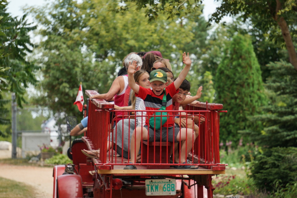 Step back in time, plant a tree, or pretend it's October: your choice ...