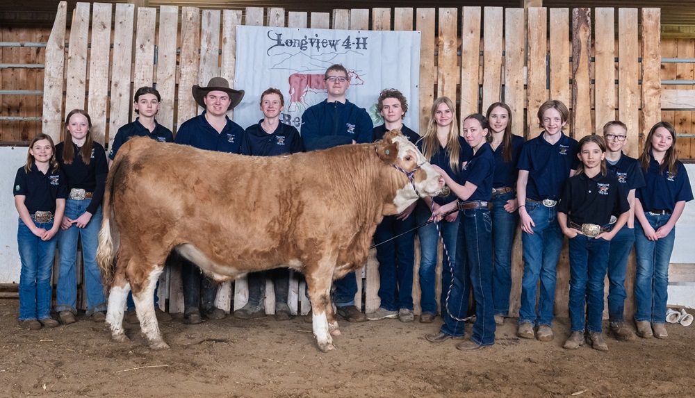 First parent meeting for new season with Longview 4-H Beef Club is coming up - OkotoksOnline.com ...