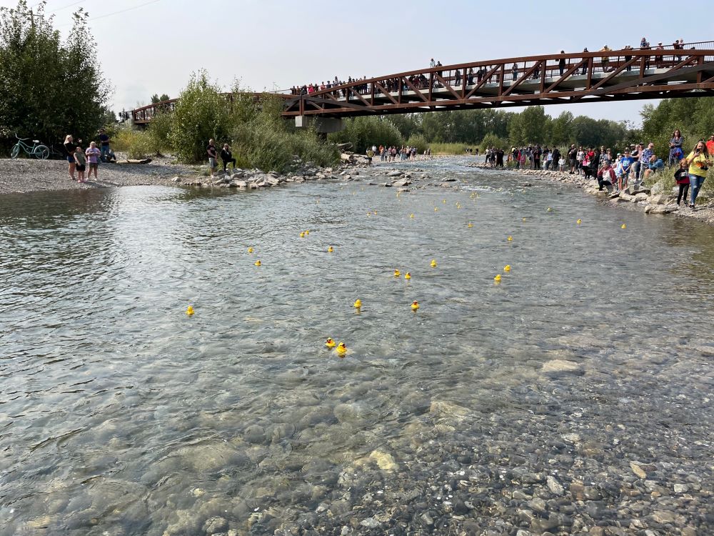 Rubber Duck Race & Family Fun Carnival returns to support local ...