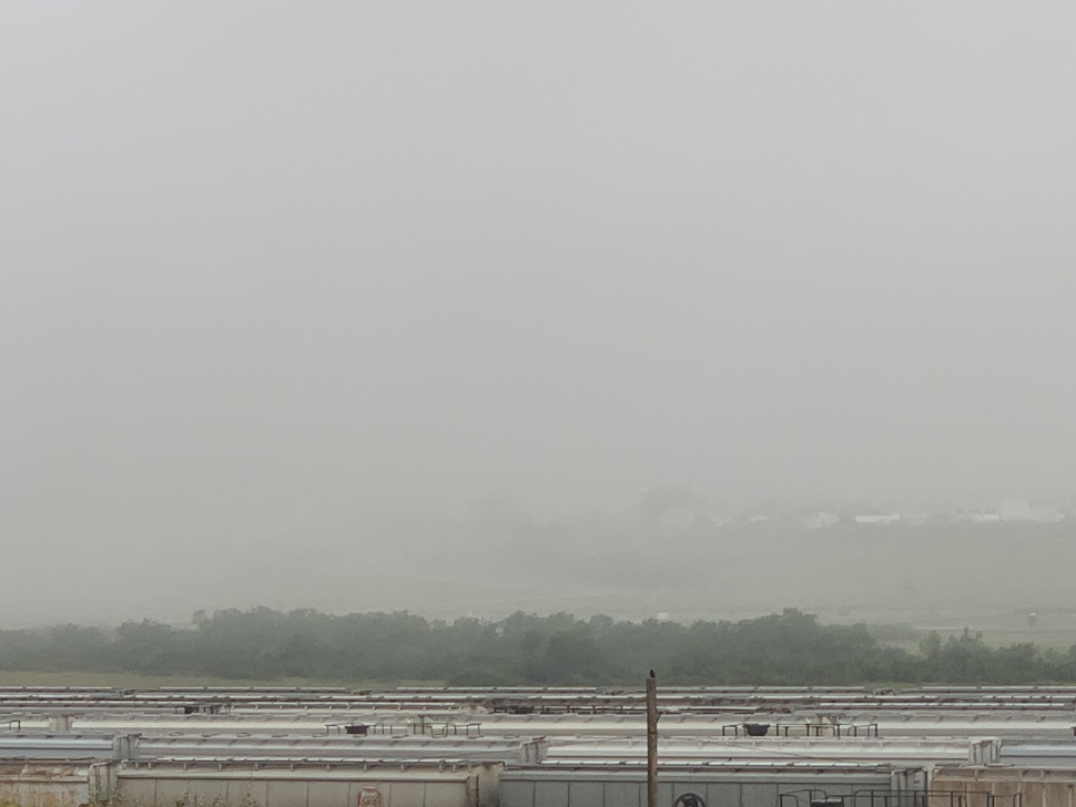 Wildfire smoke expected to persist all day in Moose Jaw ...