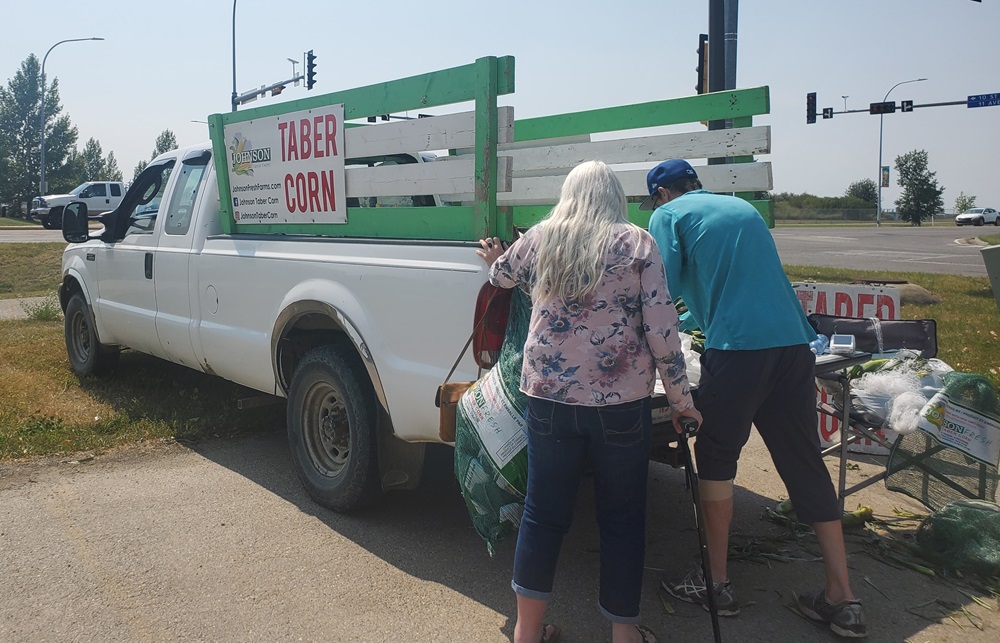 Taber's famous corn on the cob has arrived - HighRiverOnline.com ...