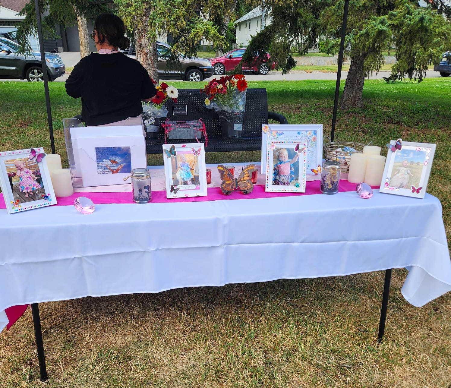 Butterflies released as send-off for Bella Brave - SwiftCurrentOnline ...