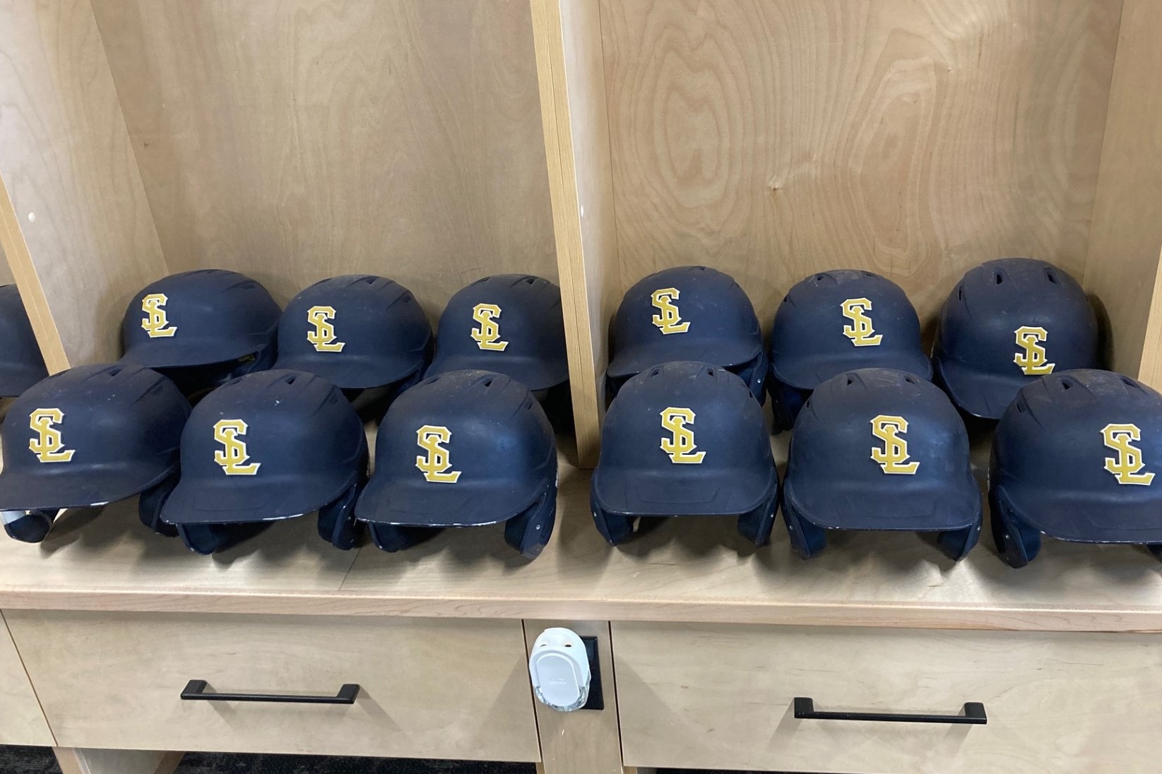 Gulls 19U Prep Team coming to Sylvan Lake - CentralAlbertaOnline.com ...