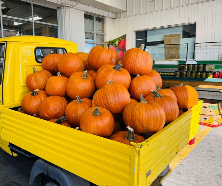 Fall flakes? More like fall bakes – Airdrie is about to sizzle and then ...