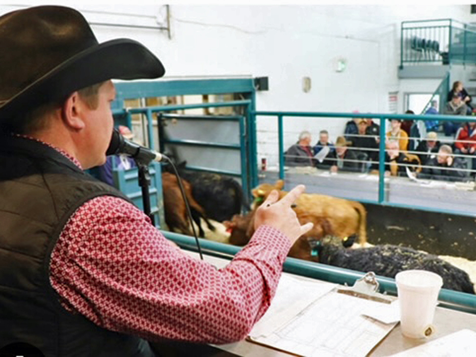Grunthal Livestock Auction Mart celebrating 50 years of sales ...