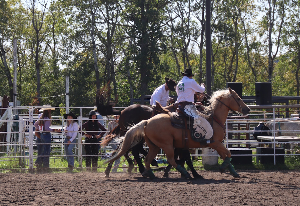Riding, roping, and racing: Heartland Rodeo in photos - SteinbachOnline ...