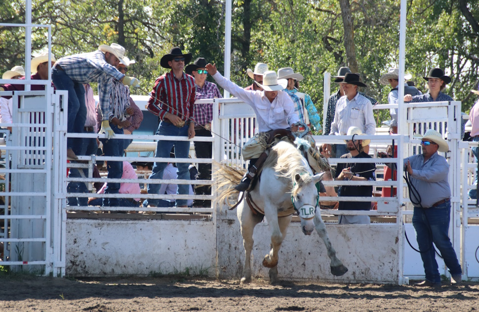 Riding, roping, and racing: Heartland Rodeo in photos - SteinbachOnline ...