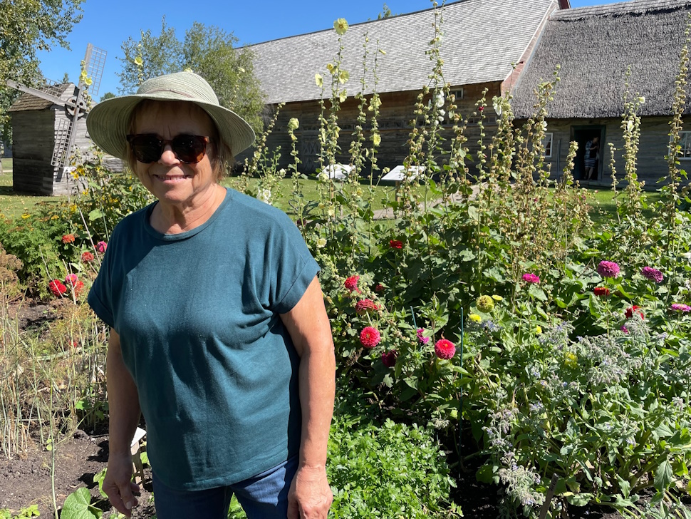 MHV volunteers notice some differences during this year's harvest ...