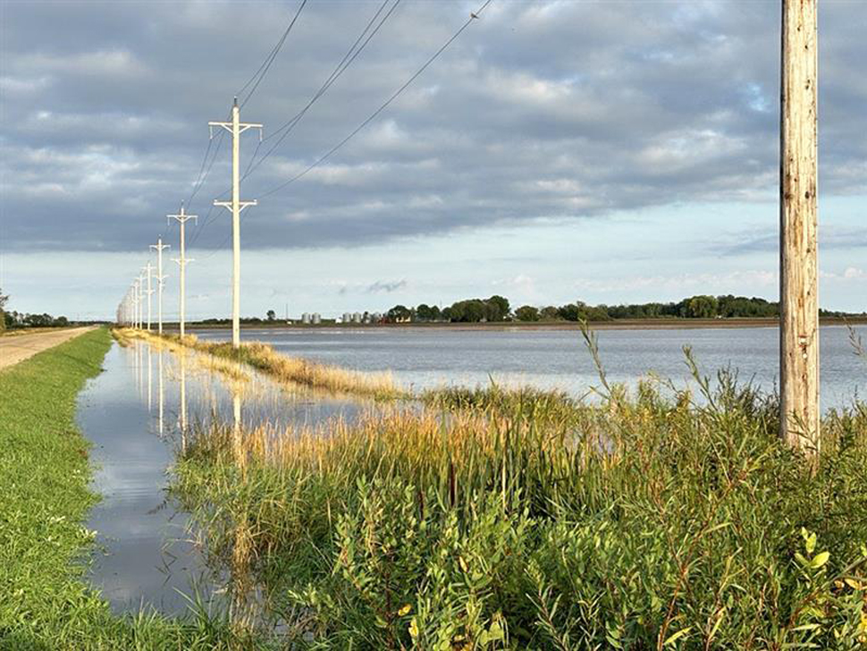 Farmers anticipating challenging harvest following deluge of rain ...
