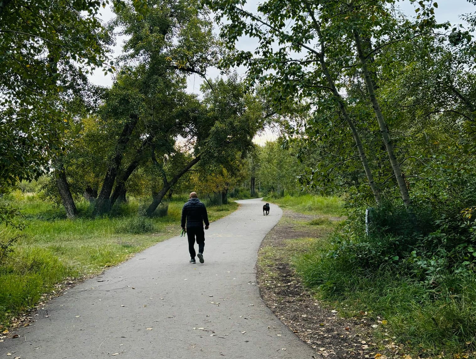 Meteorologists reveal what’s in store for Airdrie this fall ...