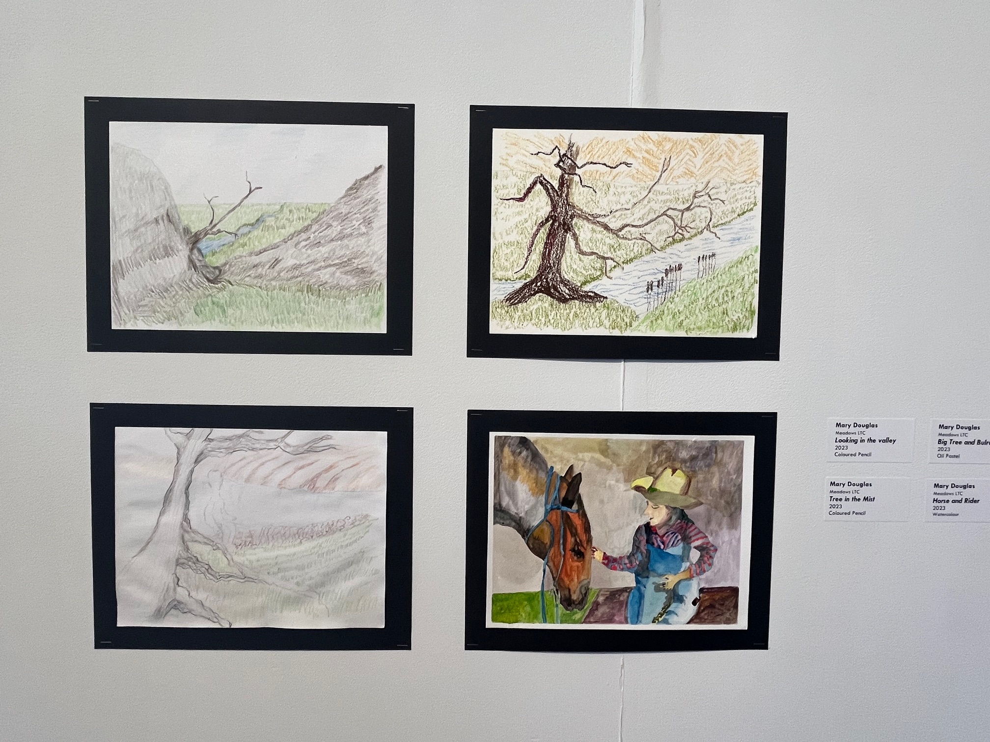 Broad Horizons brightens Swift Current with public reception ...