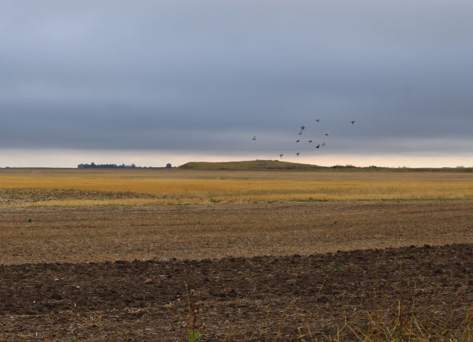 Southeast farmers make gains as harvest reaches halfway point ...