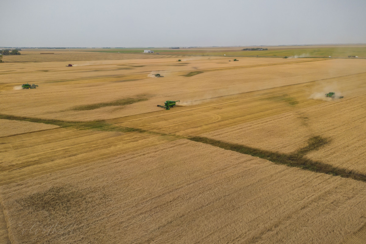 Common Ground grow project edges closer to $1 million raised for CFGB ...