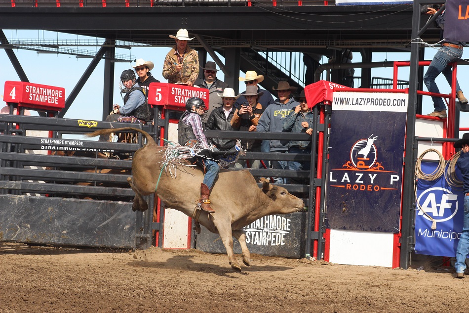 Gallery: bull riding competition crowns the 'Last Cowboy Standing ...