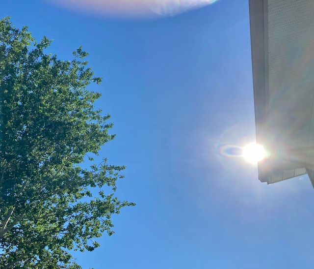 Heat wave breaks Central Alberta records - CentralAlbertaOnline.com ...