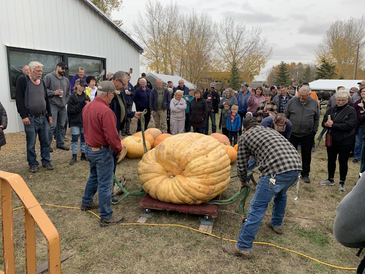 Weekend Update: Pilger Pumpkin Festival primed for this Saturday ...