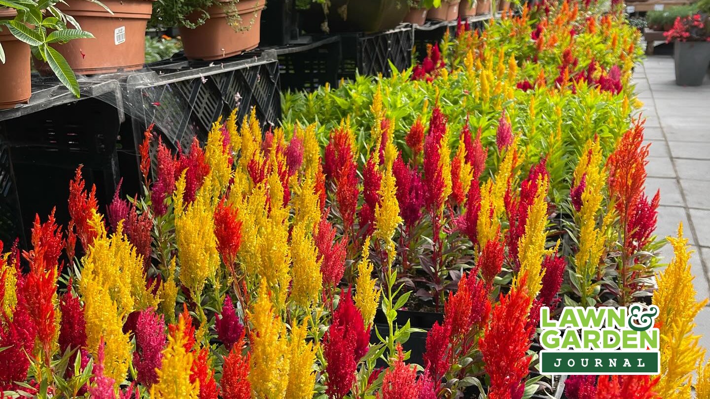 Carla Hrycyna & Chris Sumner co-hosted a brand new Lawn and Garden ...