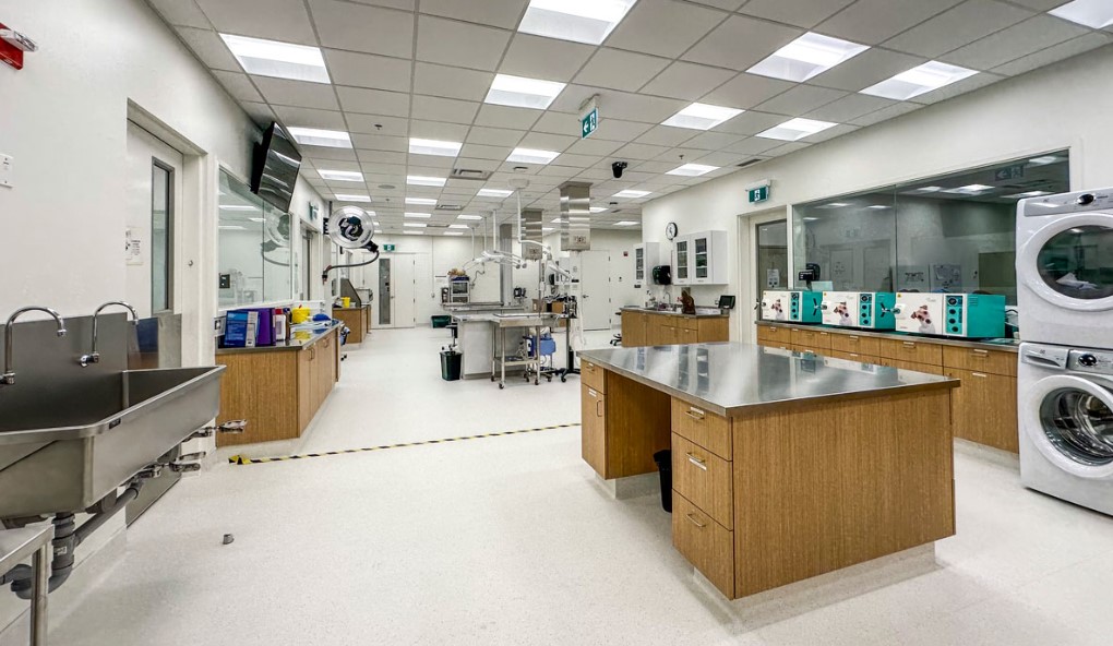Olds College unveils renovated Animal Health Education Centre ...