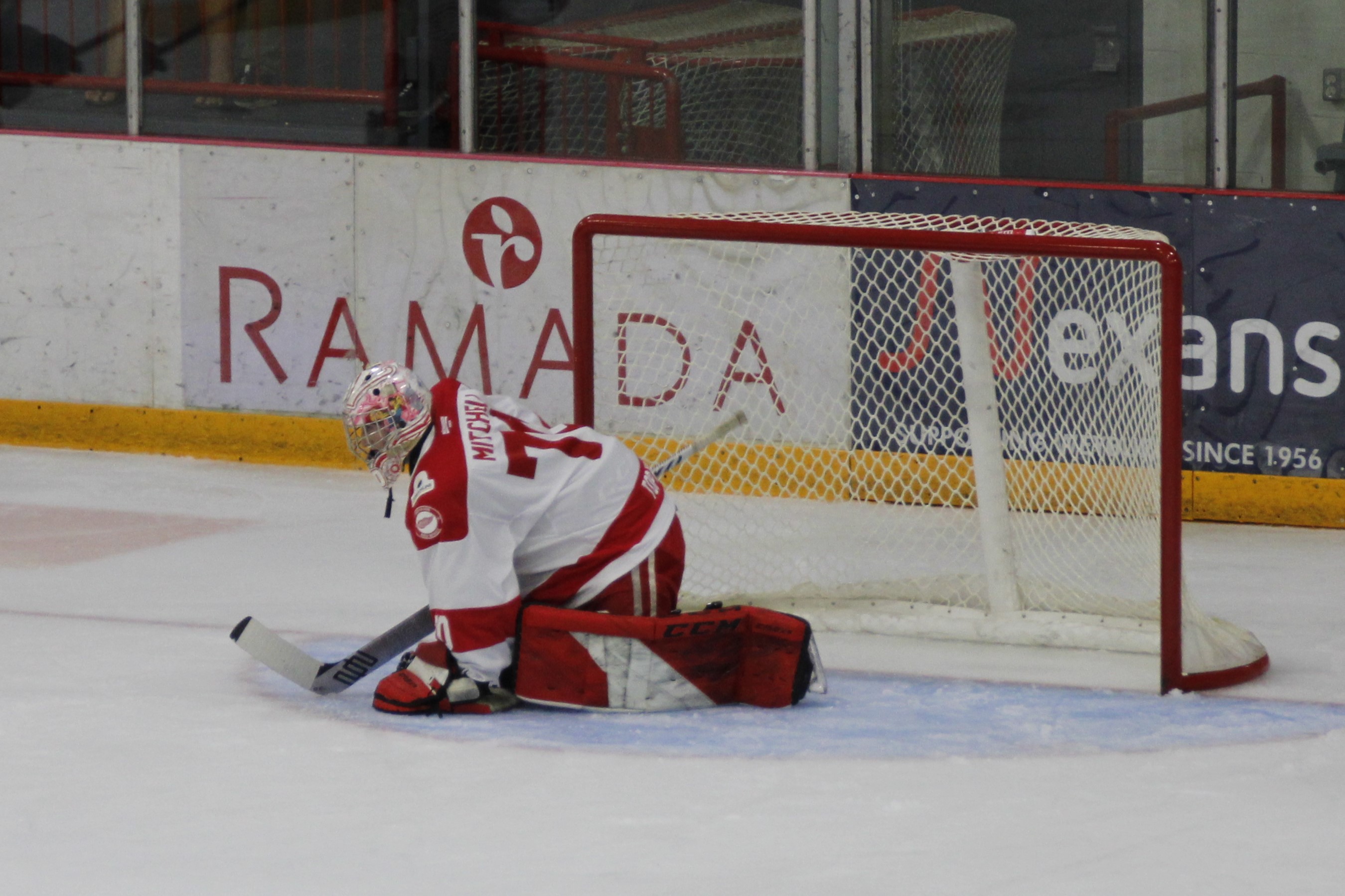 Dazza departs: Red Wings bid farewell to fan favourite ...