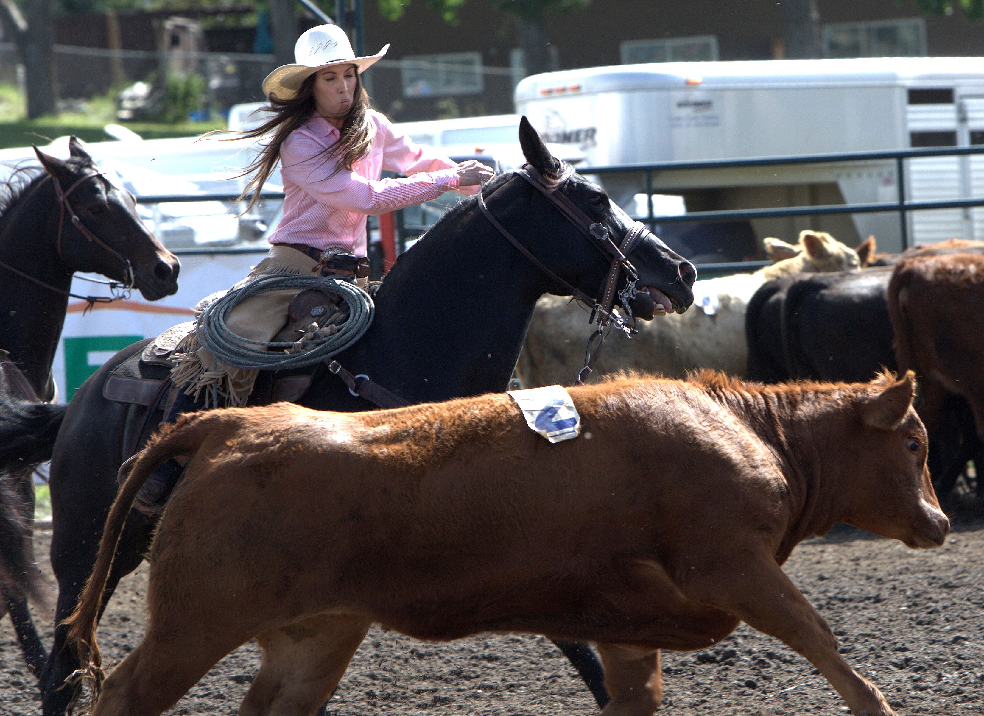 WATCH/GALLERY: Rodeo weekend starts on high note - CochraneNow ...