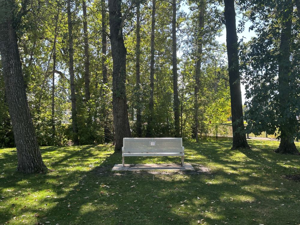 Memorial ceremony to honour those who helped spruce up George Lane Park ...