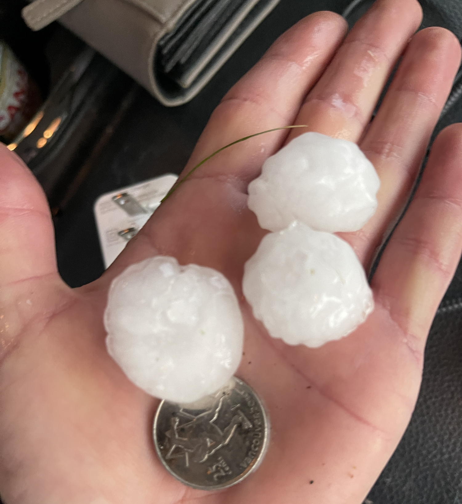 Canadian Crop Hail Association following up on over 2000 hail claims in ...