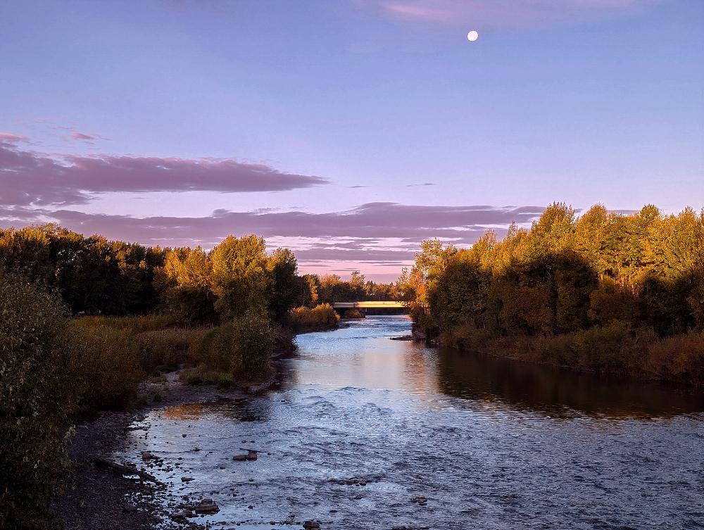 Sunny days aplenty in Foothills County - OkotoksOnline.com - Local news ...