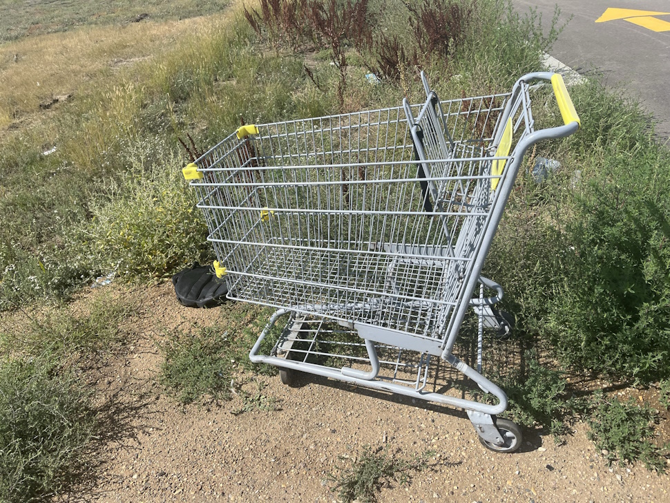 Owners see 38 shopping carts returned through MJPS - DiscoverMooseJaw ...