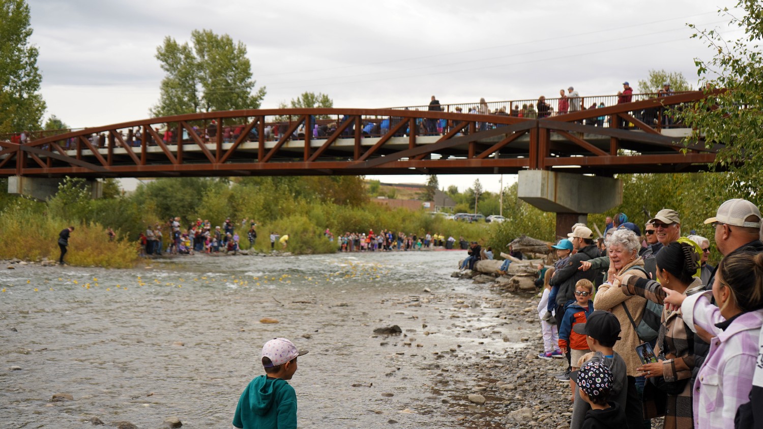 Gallery: Simpora Foundation's second Rubber Duck Race draws quite a ...