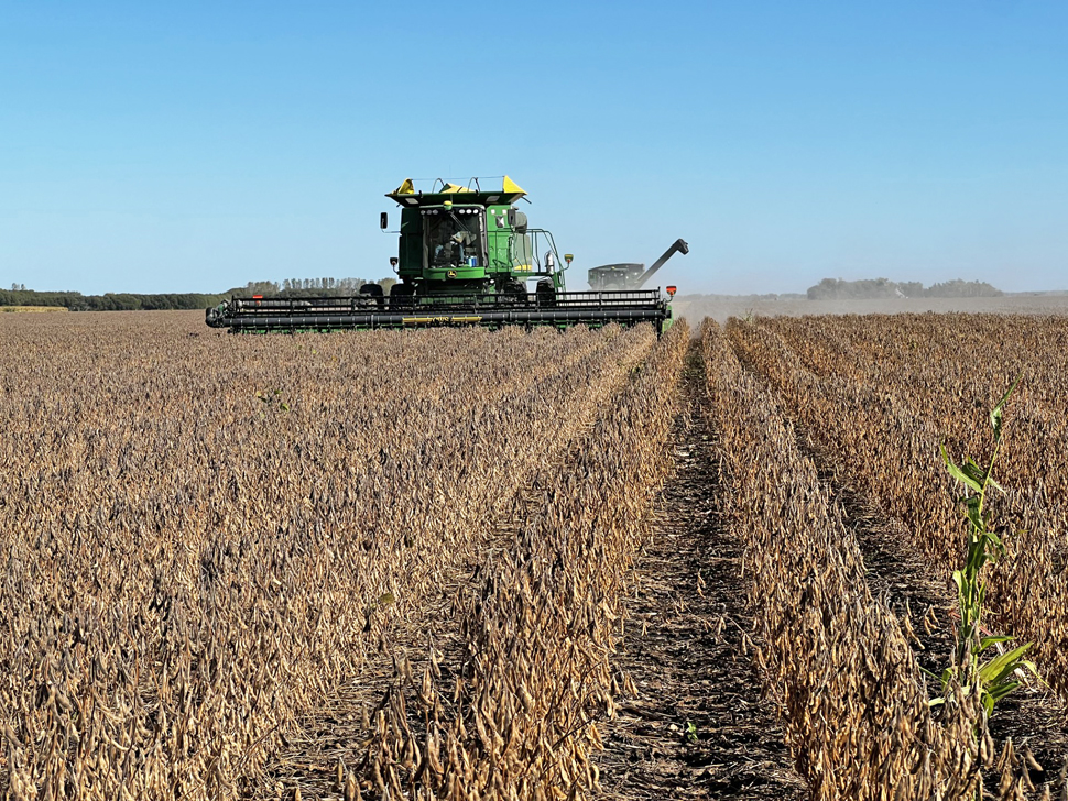 Canadian Grain Commission partners with Soy Canada for 2024 harvest ...