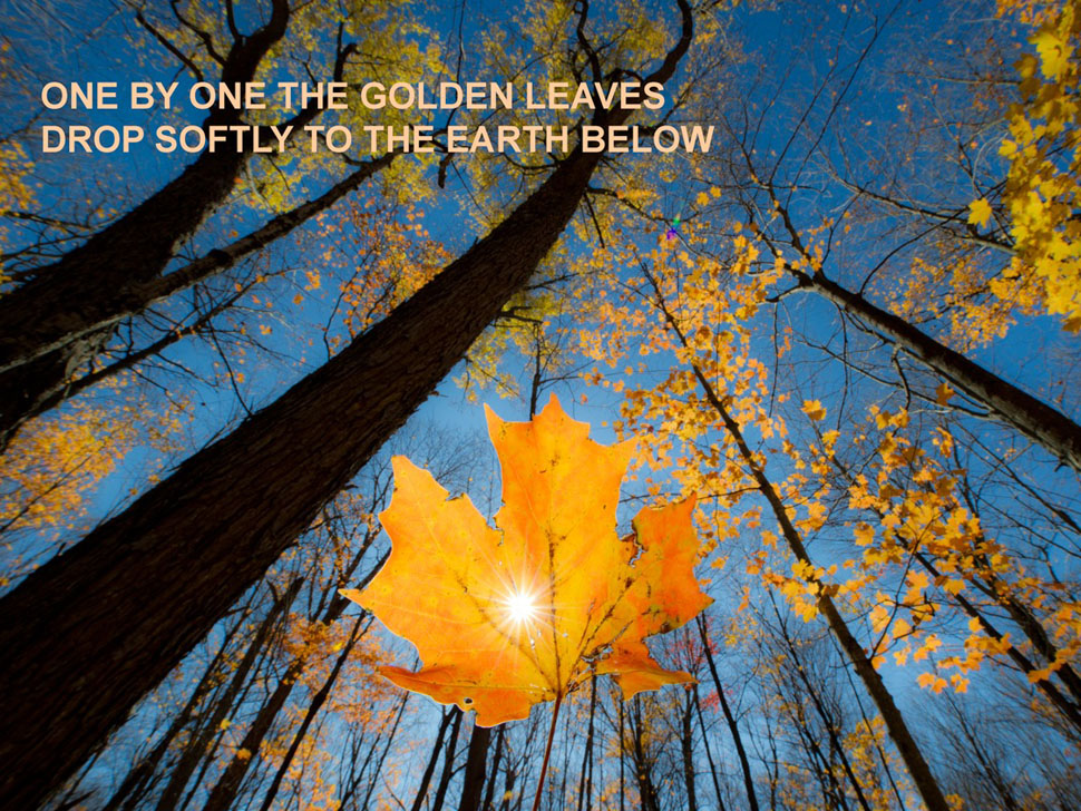 Wildlife photographer Dennis Fast unveils poetic side - SteinbachOnline ...