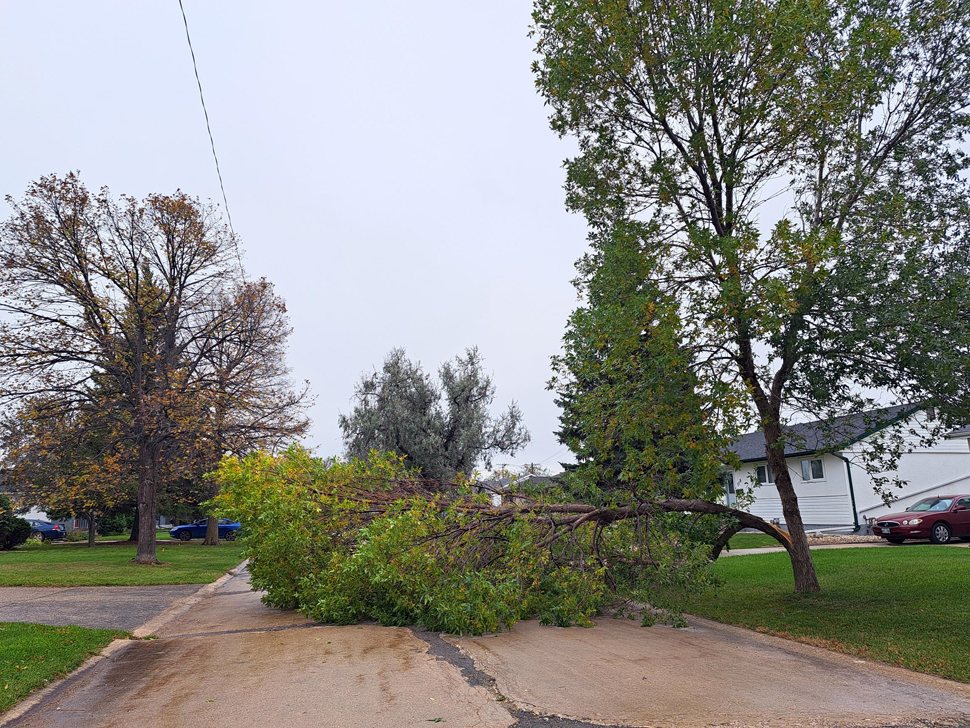 What is with all the wind? - SteinbachOnline.com - Local news, Weather ...