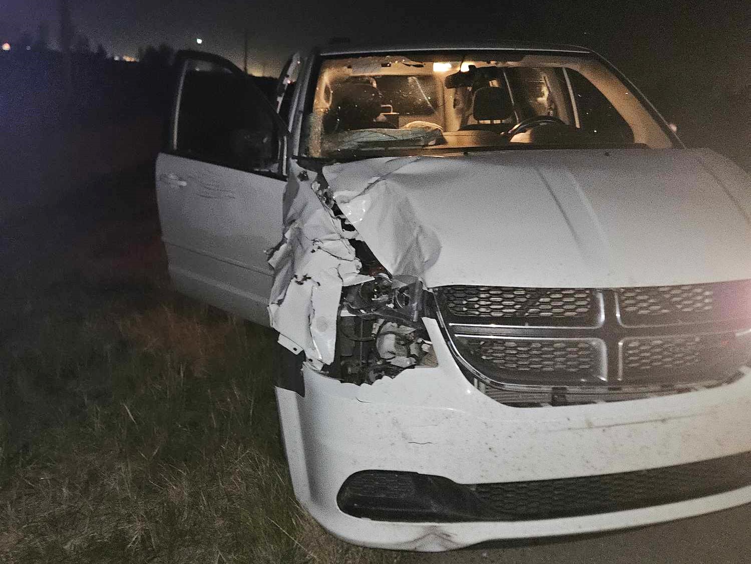 Cows on the loose cause highway collision in Rocky View County ...