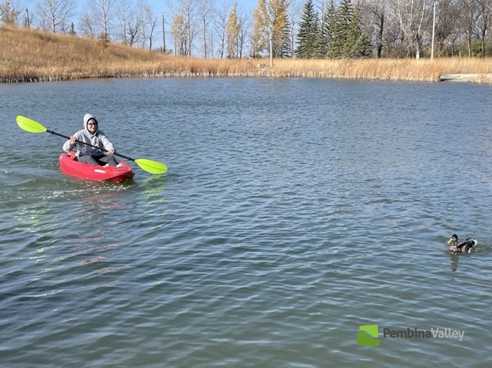 Adventurous rescue: volunteers save injured Mallard duck from Buffalo ...