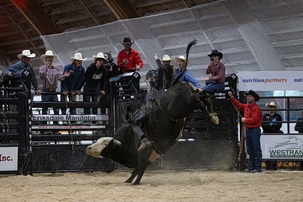 Bull Riding showdown thrills in Eriksdale - PortageOnline.com - Local ...