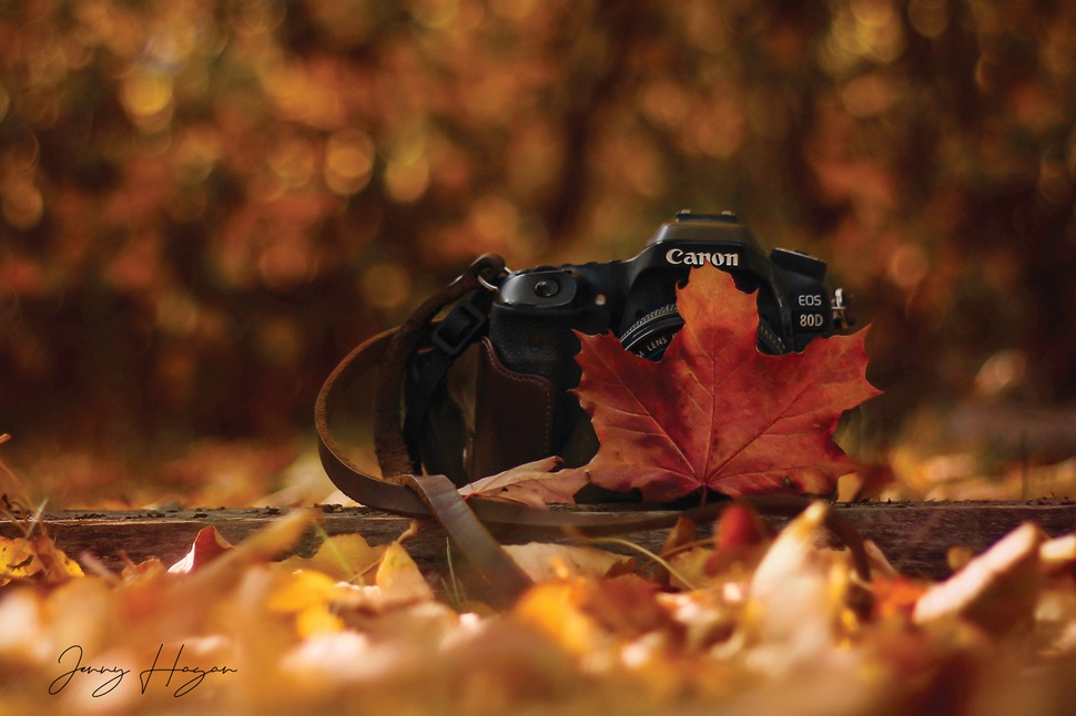 Poll: The Signs of Autumn - WestCentralOnline: West Central ...