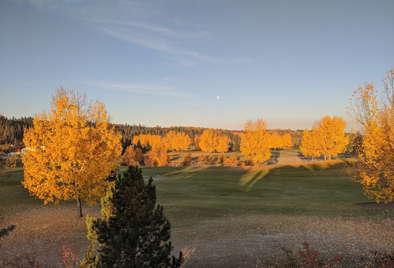 Preparing your yard for Fall in Saskatchewan - DiscoverHumboldt.com ...