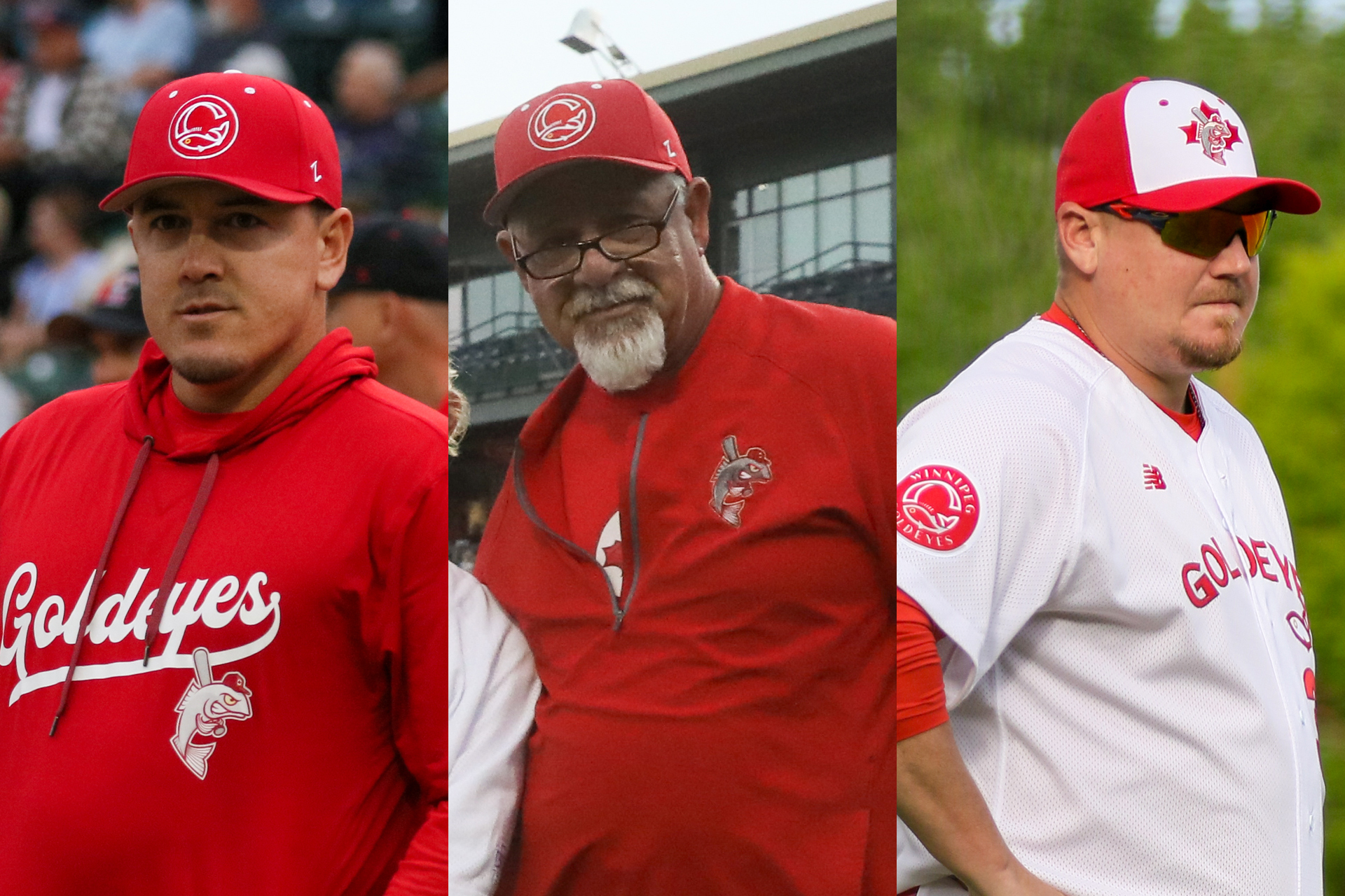 Goldeyes manager and coaching staff sign on for 2 more years ...
