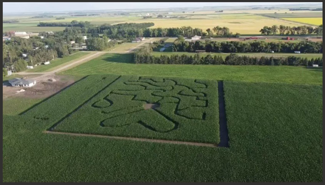 Jefferies Seeds Creates High-Tech Corn Maze with GPS Precision ...