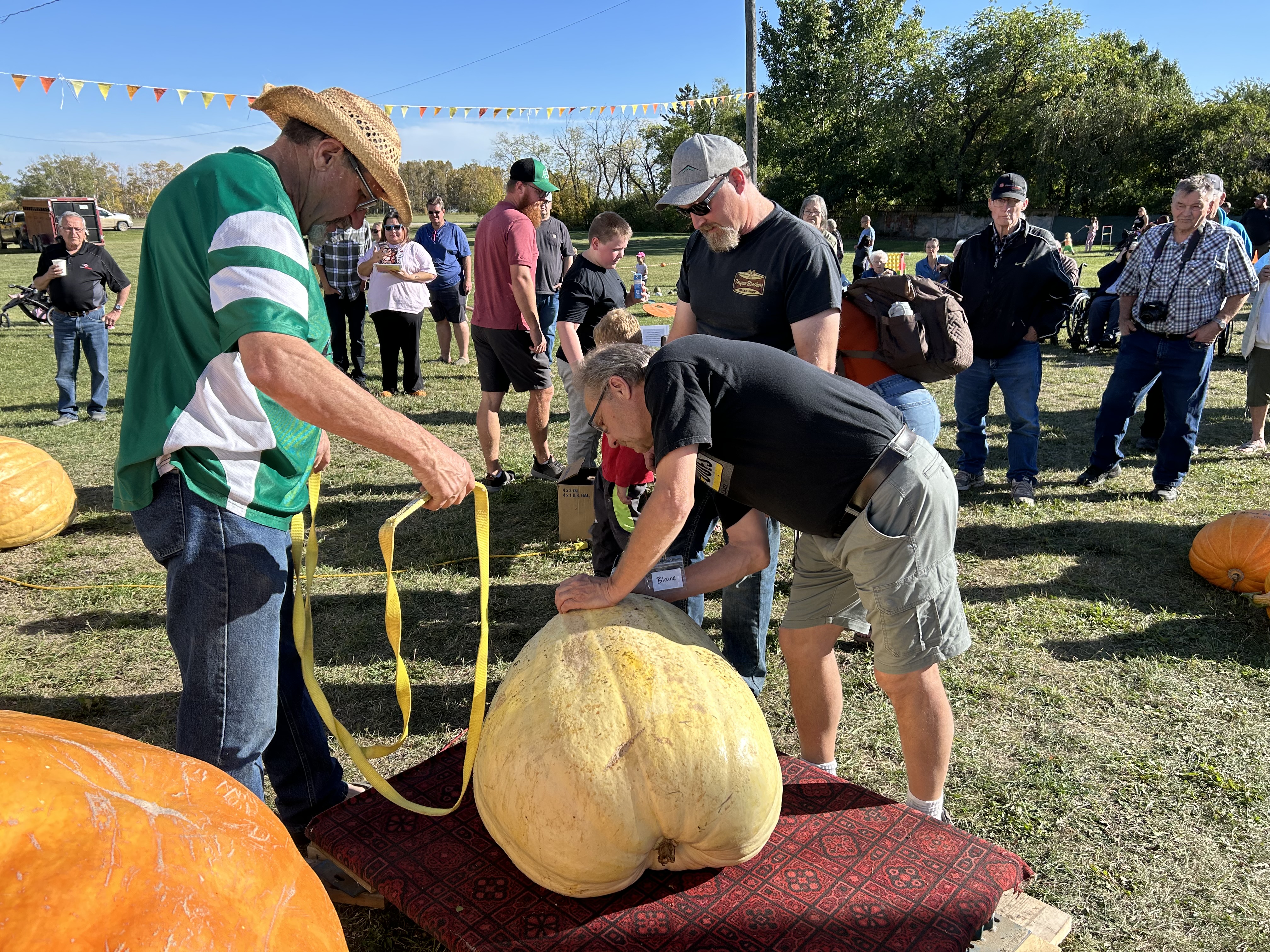 Another chart topper at the Pilger Pumpkin Festival - DiscoverHumboldt ...