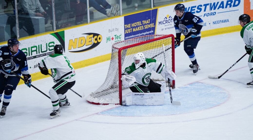 Terriers double up Steinbach - PortageOnline.com - Local news, Weather ...