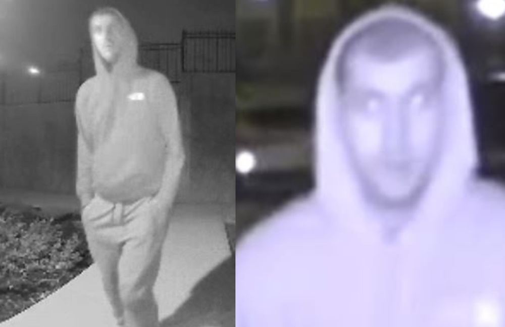 Calgary police searching for man accused of harassment and stalking ...